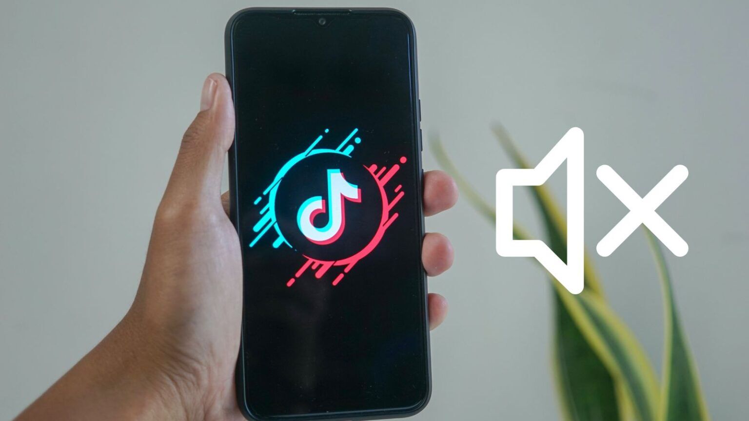 How to turn off the sound in Tik Tok? – Kimlisoft